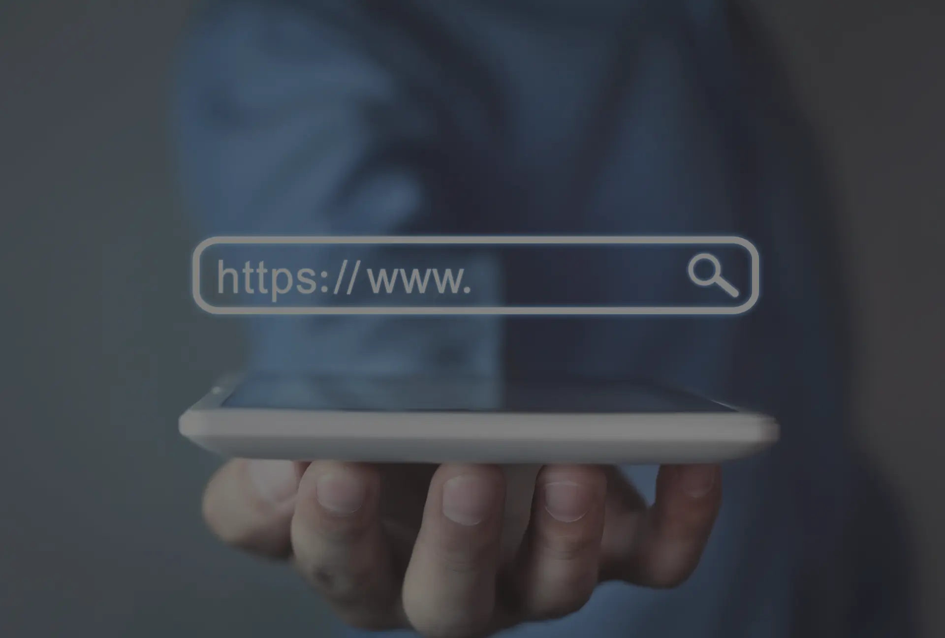 What is the difference between domain, URL, and address? - Naksdomain